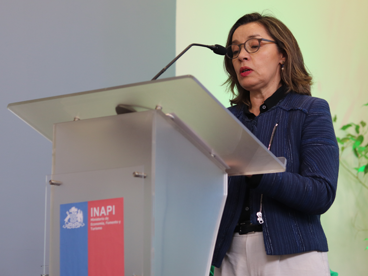 INAPI y proyecto europeo AL-INVEST Verde DPI anuncian alianza para ...