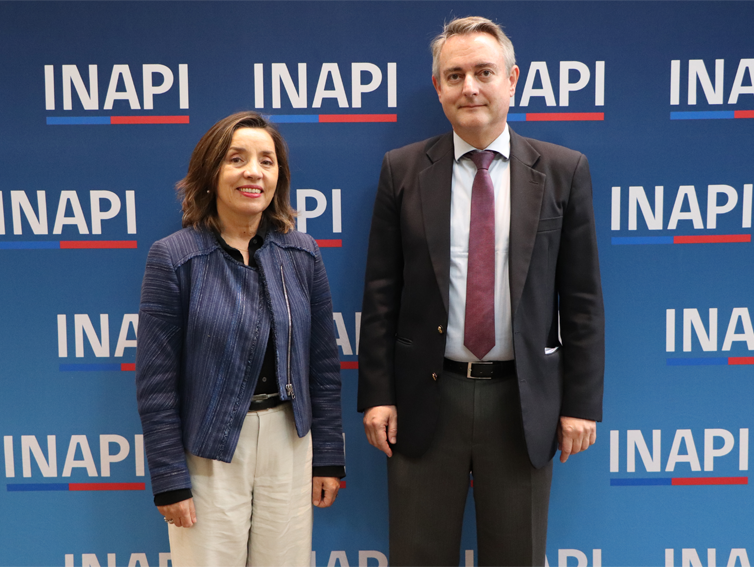 INAPI y proyecto europeo AL-INVEST Verde DPI anuncian alianza para ...